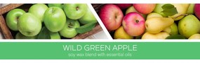 Svíčka 0,41 KG WILD GREEN APPLE, ANTIODOR, aromatická v dóze, 3 knoty|Goose Creek