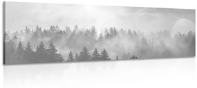 Obraz mlha nad lesem v černobílém provedení Varianta: 120x40