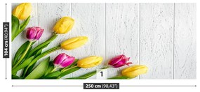 Fototapeta žluté tulipány 104x70