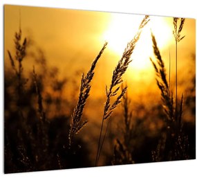 Obraz zapadajícího slunce (70x50 cm)