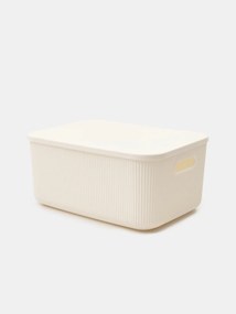 Sinsay - Žebrovaný úložný box s úchyty a víkem - krémová