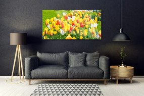 Plexisklo-obraz Tulipány Květiny Příroda 120x60 cm