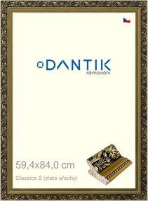 DANTIK rámeček 59,4x84 | Claico 2 (zlato ořechy) (Plexi Čiré)