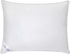 XXXLutz POLŠTÁŘ, 70/90 cm Sleeptex - Polštáře pod hlavu - 006857002901