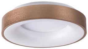 Rabalux 5052 - LED Stropní svítidlo CARMELA LED/30W/230V