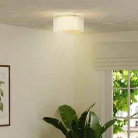 HOMCOM Stropní lampa s akrylovým stínidlem, kov, kompatibilní s halogenovými a LED žárovkami