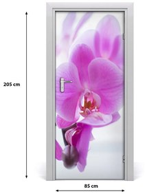 Fototapeta na dveře Růžová orchidej 85x205 cm