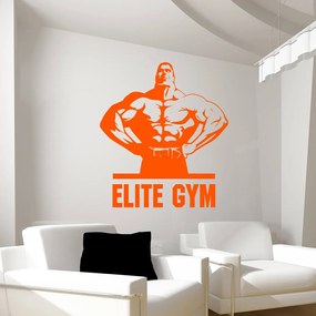 Živá Zeď Samolepka na zeď Elite Gym Barva: černá