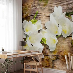 Fototapeta Krása květin - bílá fresie se stínem na pozadí hnědého dřeva