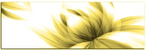 Obraz na plátně - Elegantní květ - panoráma 5147ZA (105x35 cm)
