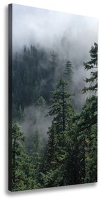 Wallmuralia Vertikální Foto obraz na plátně Mlha nad lesem 50x100