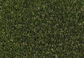LANO Umělá tráva EASY LAWN ROSEMARY BARVA: Zelená, ŠÍŘKA: 2 m