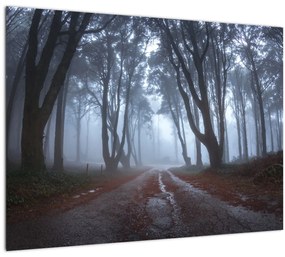 Skleněný obraz - Za deštivého dne (70x50 cm)