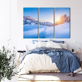 Vícedílný obraz Alpy V Zimním Období 3D Nedostatek Nedostatek Přírodní plátno 150x100