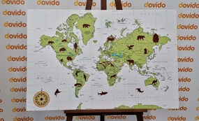 Obraz mapa se zvířaty - 60x40 cm
