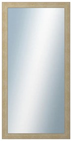 DANTIK - Zarámované zrcadlo - rozměr s rámem cca 50x100 cm z lišty ANDRÉ velká champagne (3158)