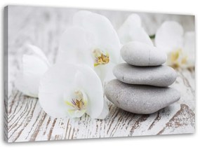 Obraz na plátně Orchid Stones Zen Spa - 60x40 cm