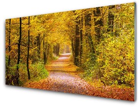 akrylový obraz Les Rostlina Cestička Příroda 120x60 cm