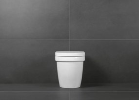 VILLEROY & BOCH Villeroy &amp; Boch ARCHITECTURA - Záchodové sedátko s poklopem, s funkcí QuickRelease a SoftClosing, bílá alpin 98M9C101