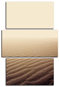 Obraz na plátně - Písek v poušti - obdélník 7127C (120x80 cm)