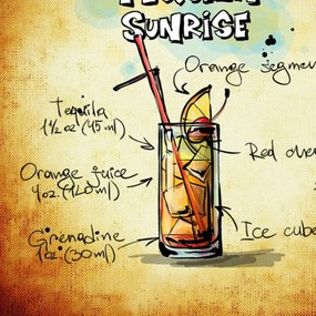 Malvis ® Obraz cedule Tequila Sunrise Velikost (šířka x výška): 40x40 cm