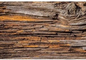 DIMEX | Samolepicí vliesová fototapeta na zeď Kůra stromu MA-5-0159 | 375 x 250 cm | hnědá