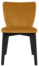 Jídelní židle STRAKOŠ DM67/W - černá, RIVIERA 41