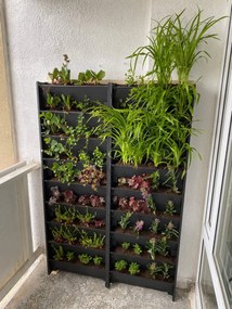 LIKO-S a.s. Set 3 ks Plantbox - truhlík pro vertikální pěstování