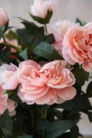 Umělá pivoňka v krémovém květináči PEONY, výška 70 cm, růžová