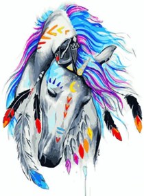 Malování podle čísel Kůň Indiánů M991970
