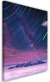 Gario Obraz na plátně Noc padajících hvězd - Rokibul Hasan Rozměry: 40 x 60 cm