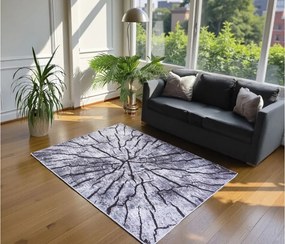 TZ Obdélníkový vzorovaný koberec Neo Rozměr: 160x200 cm