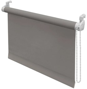 Tmavě šedá roleta 80x150 cm Mini Relax – Gardinia