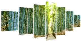 Obraz - Ulička s bambusy (210x100 cm)