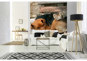 DIMEX | Vliesová fototapeta na zeď Kočka a pes MS-3-0221 | 225 x 250 cm | černá, hnědá, šedá