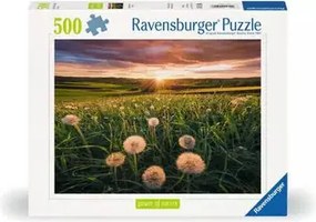 Ravensburger Pampelišky v západu slunce / 500 dílků / od 12 let