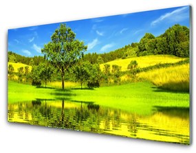 Obraz na skle Louka Strom Příroda 120x60 cm