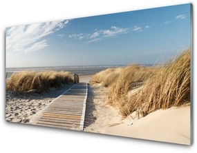 akrylový obraz Pláž Stezka Krajina 100x50 cm