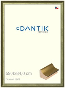 DANTIK rámeček 59,4x84 | Ferrosa zlatá (Plexi Čiré)