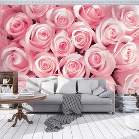 Fototapeta - Růžové růže (254x184 cm)
