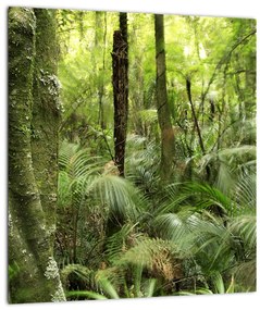 Obraz Tropický deštný prales (30x30 cm)