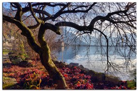 Obraz na plátně - Podzim u jezera 1198A (120x80 cm)