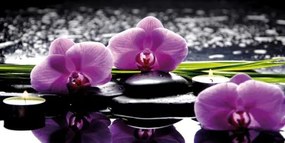 Spa still life with set of pink orchid and stones  - 20 x 50 cm