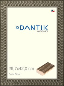 DANTIK rámeček 29,7x42 | Doria Silver (Plexi Čiré)
