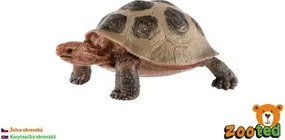 ZOOTED Figurka Želva obrovská / Plast / 8 cm / od 3 let