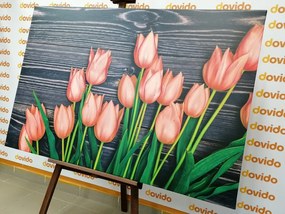 Obraz očarující oranžové tulipány na dřevěném podklade