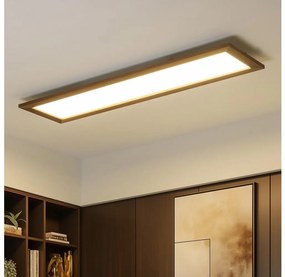 Brilagi - LED Stmívatelné svítidlo SLIMFRAME WOOD LED/58W/230V 124x34 cm + DO