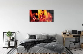 akrylový obraz pikantní papričky 100x50 cm