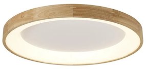 Azzardo | Azzardo AZ2698 - LED Stropní svítidlo SILVAM 1xLED/50W/230V | AZ2698