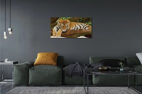 Obrazy na plátně tiger tree 140x70 cm